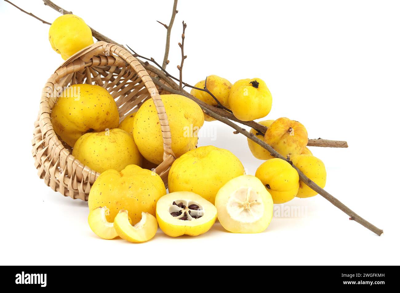Wicker basket overflowing with fresh and vibrant yellow quince fruits ...