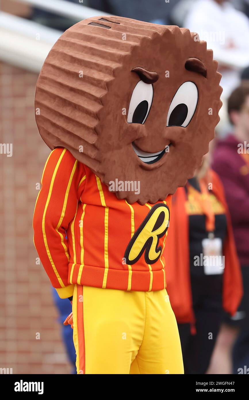 MOBILE, AL - FEBRUARY 03: The Reese's Senior Bowl mascot during the ...