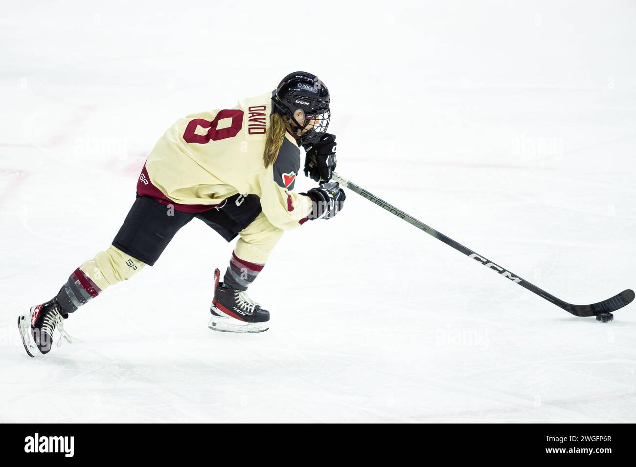 Tsongas Center. 4th Feb, 2024. Massachusetts, USA; Montreal forward ...