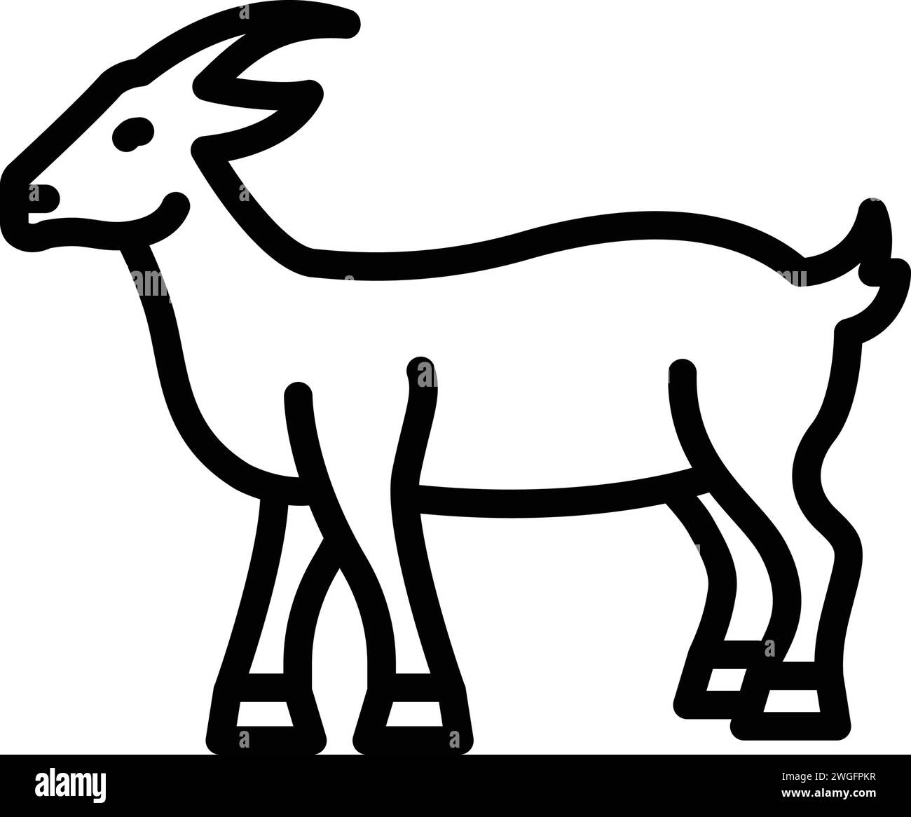 Goat farm farm dairy Black and White Stock Photos & Images - Alamy