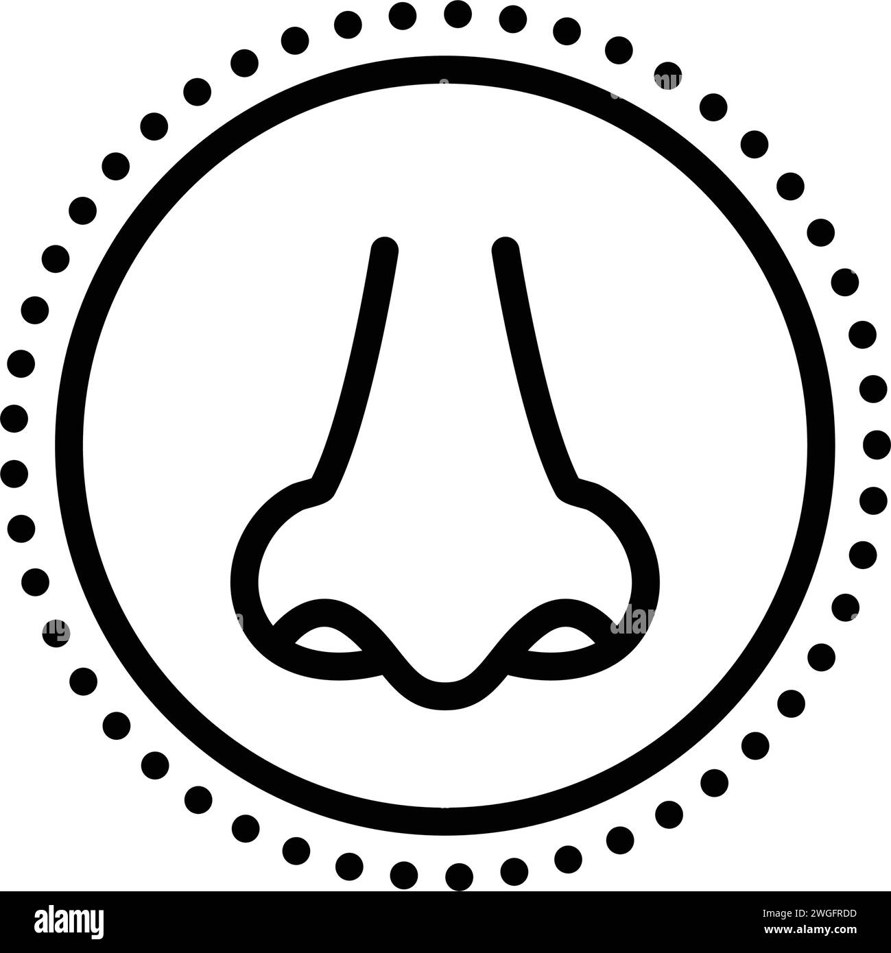 Icon for nose,anatomy Stock Vector Image & Art - Alamy