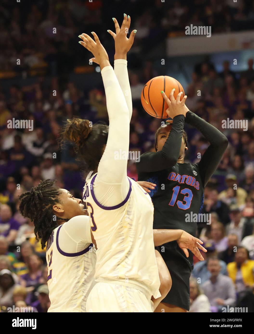Baton Rouge, USA. 04th Feb, 2024. Florida Gators guard Laila Reynolds ...