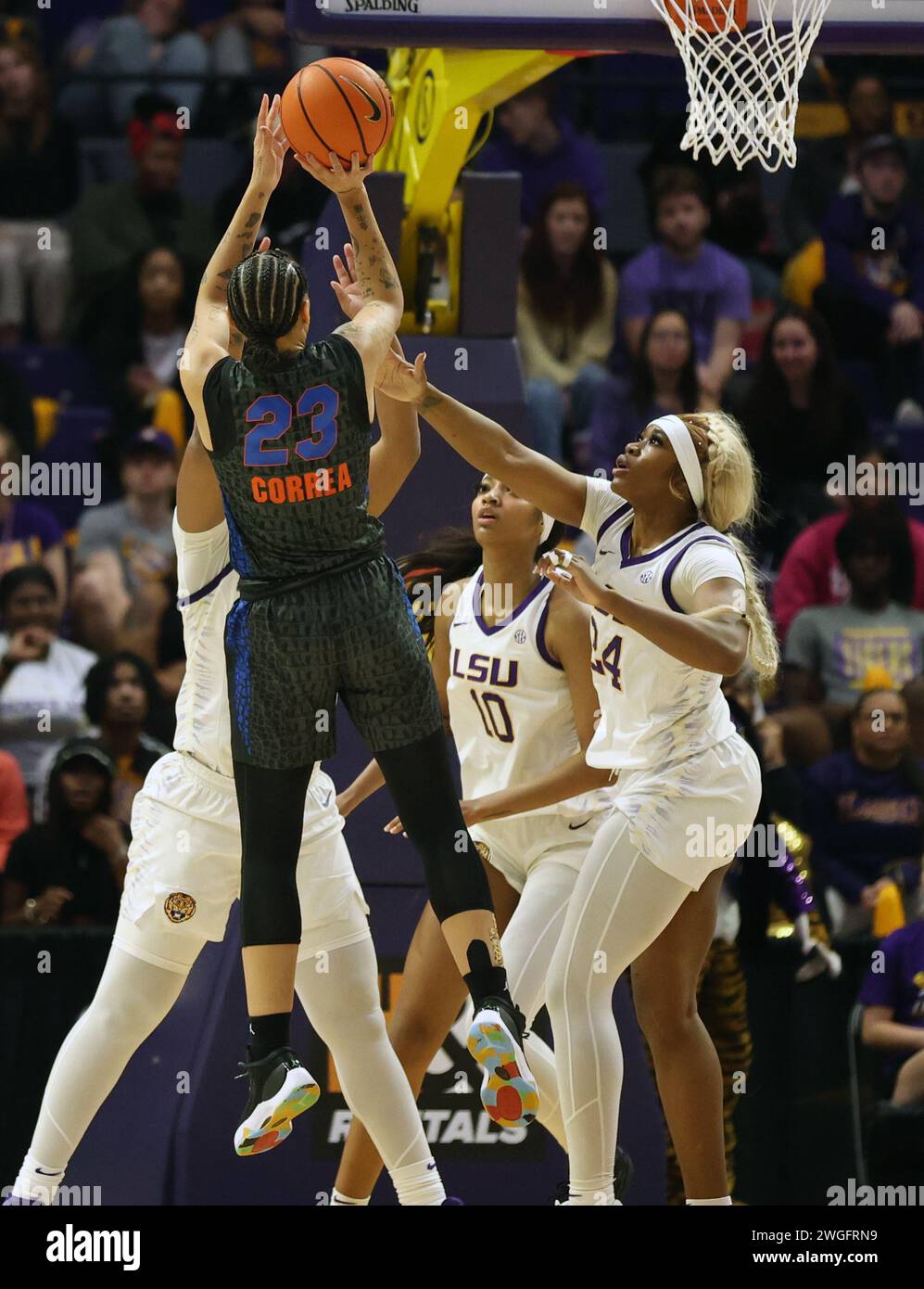 Baton Rouge, USA. 04th Feb, 2024. Florida Gators guard Leilani Correa ...