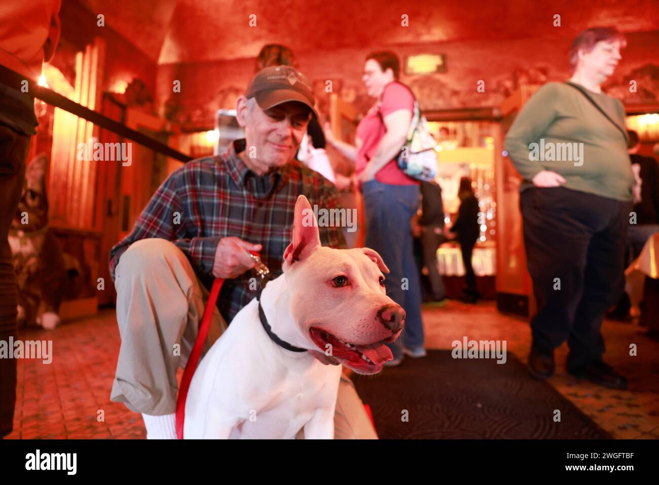 BLOOMINGTON, INDIANA - FEBRUARY 3: “Heaven,” a rescue dog, greets ...