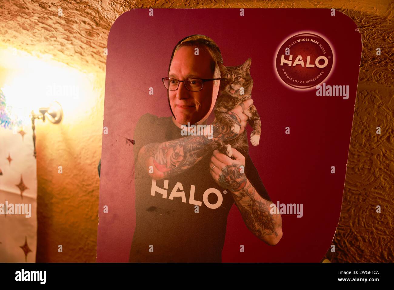 BLOOMINGTON, INDIANA - FEBRUARY 3: Remembering Lil Bub memorial event ...