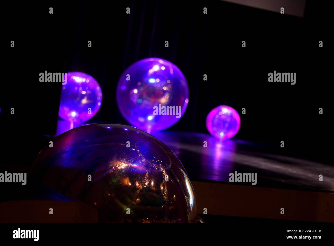 BLOOMINGTON, INDIANA - FEBRUARY 3: Remembering Lil Bub memorial event ...