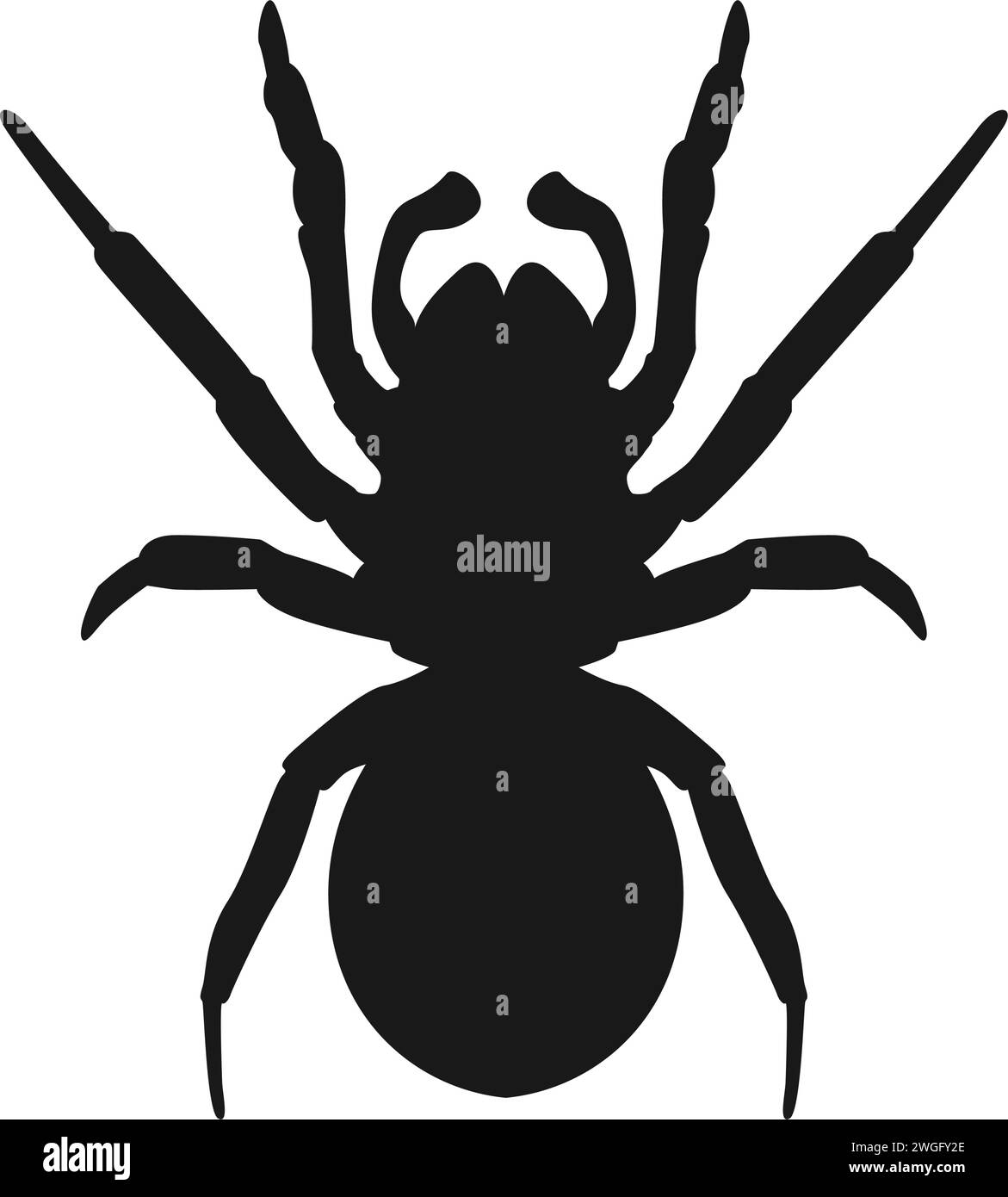 spider icon vector illustration design Stock Vector Image & Art - Alamy