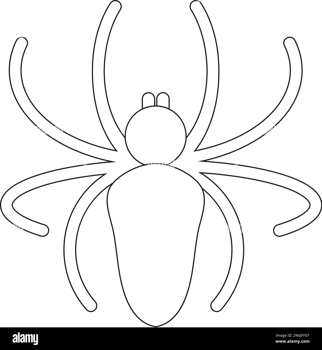 Transparent spider web Black and White Stock Photos & Images - Alamy