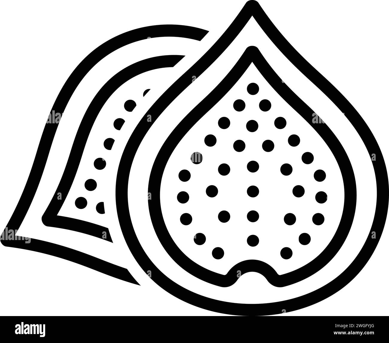 Icon for fig,fruit Stock Vector Image & Art - Alamy