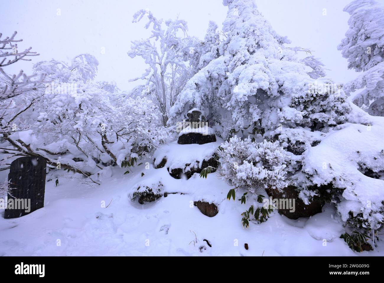 Tsuruga Castle (Wakamatsu castle) a concrete replica of 14th-century ...