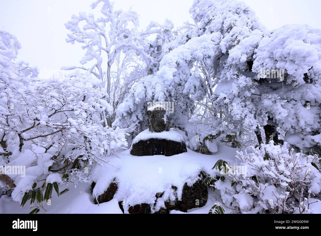 Tsuruga Castle (Wakamatsu castle) a concrete replica of 14th-century ...