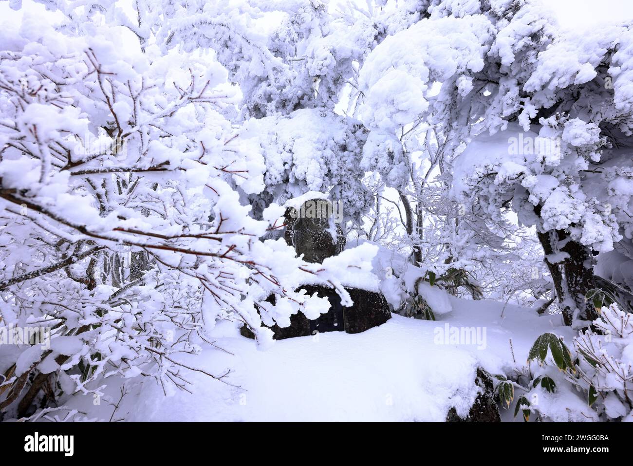 Tsuruga Castle (Wakamatsu castle) a concrete replica of 14th-century ...