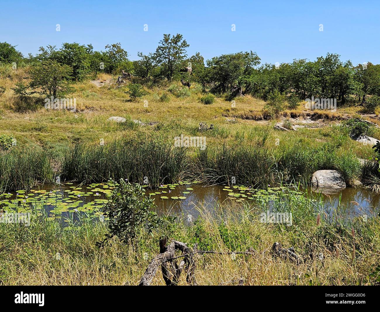 Tsendzeriver hi-res stock photography and images - Alamy