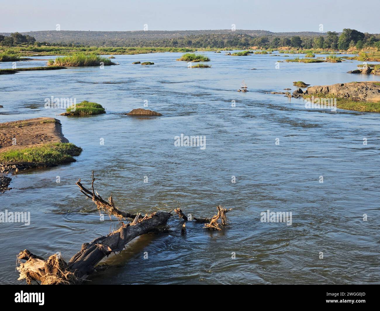 Lepelle hi-res stock photography and images - Alamy