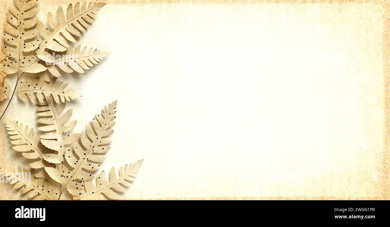 Horizontal retro background with fern leaves on paper texture ...
