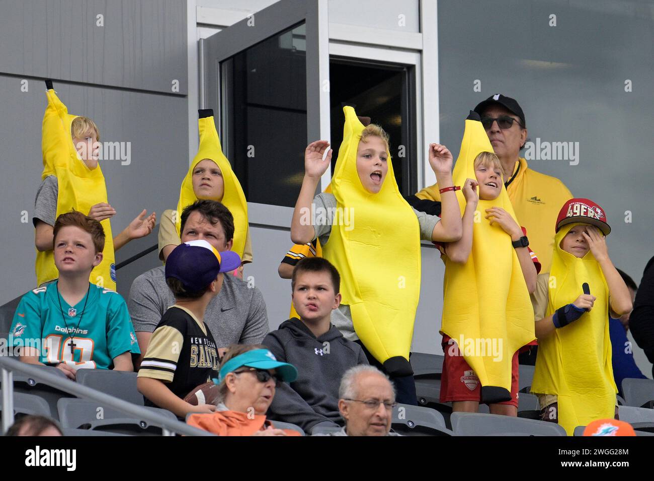 Spectators dress in banana costumes in the stands during the flag ...