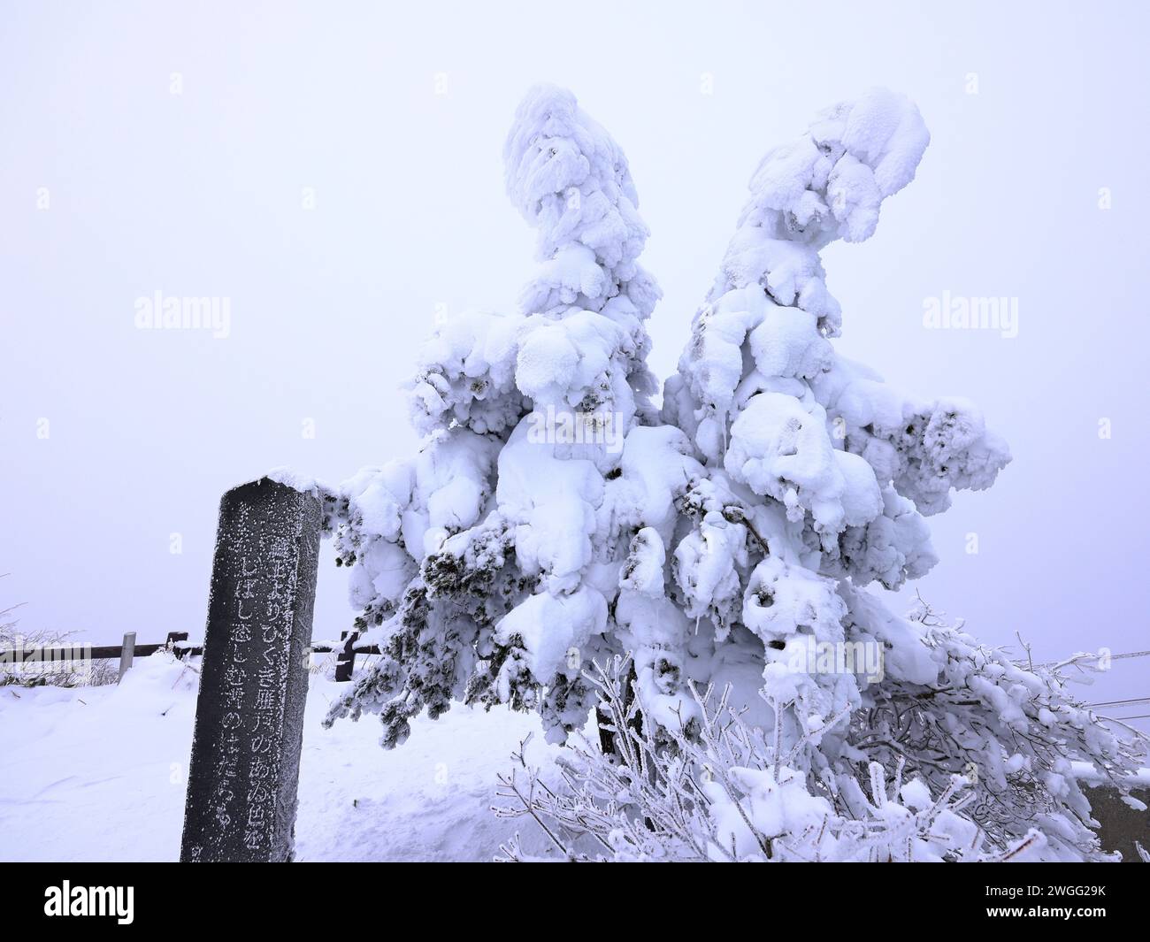 Tsuruga Castle (Wakamatsu castle) a concrete replica of 14th-century ...