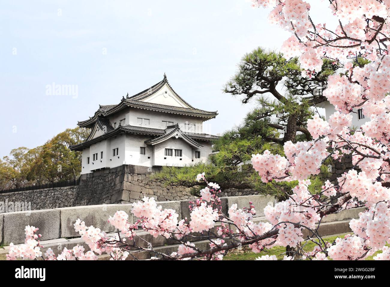 Watch tower of Osaka Castle and flowers of sakura, Japan, Asia ...