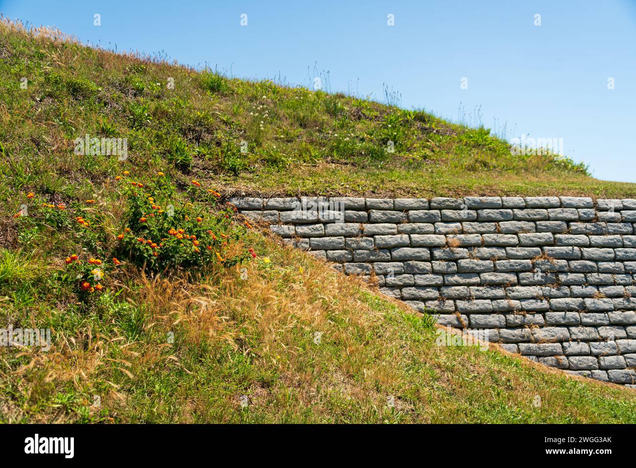 Sullivans island attractions hi-res stock photography and images - Alamy