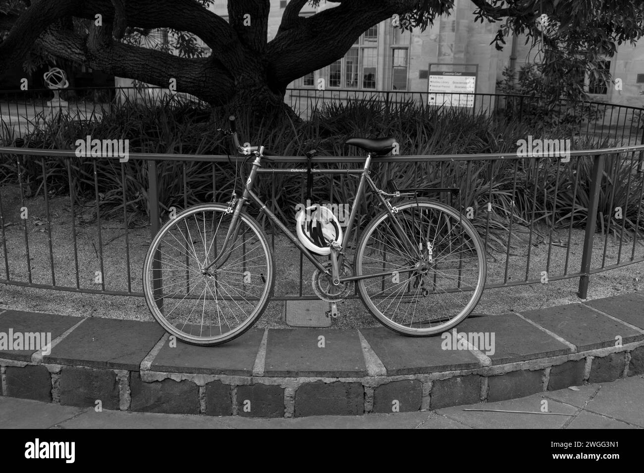 A bicycle resting against a railing in a park in grayscale Stock Photo ...