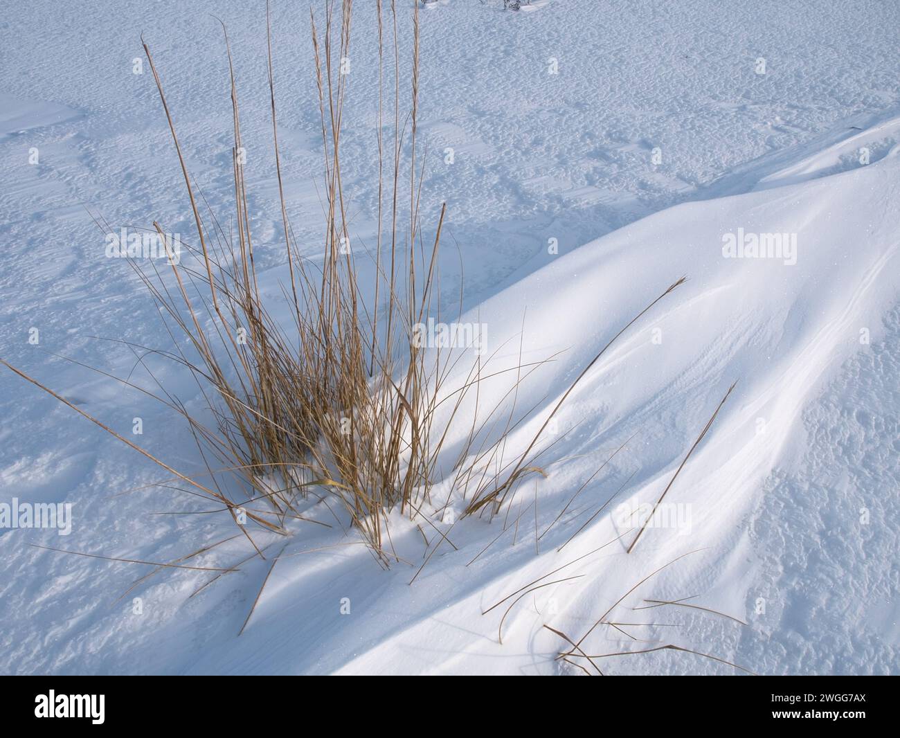 Dry coastal hi-res stock photography and images - Alamy