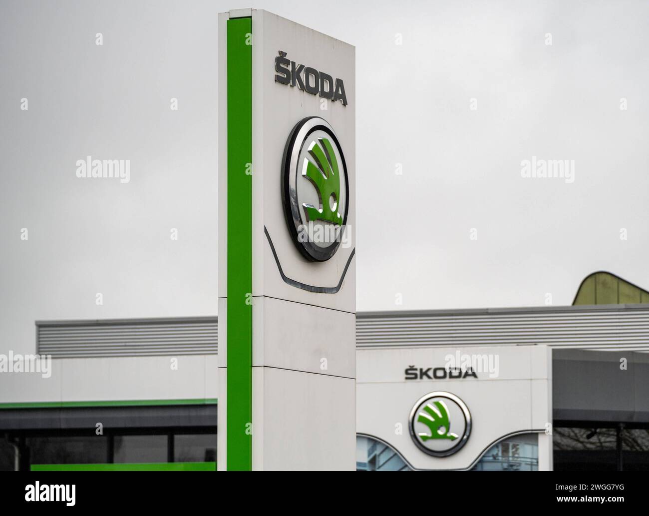 Skoda-Logo und Schriftzug vor einem Autohaus 04.02.2024, Limburg ...