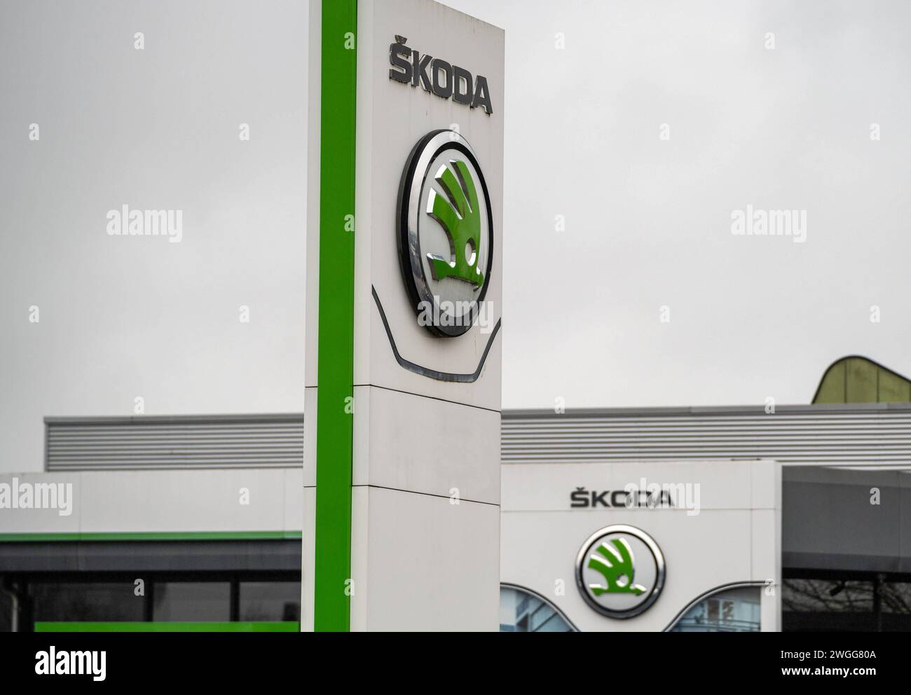 Skoda-Logo und Schriftzug vor einem Autohaus 04.02.2024, Limburg ...