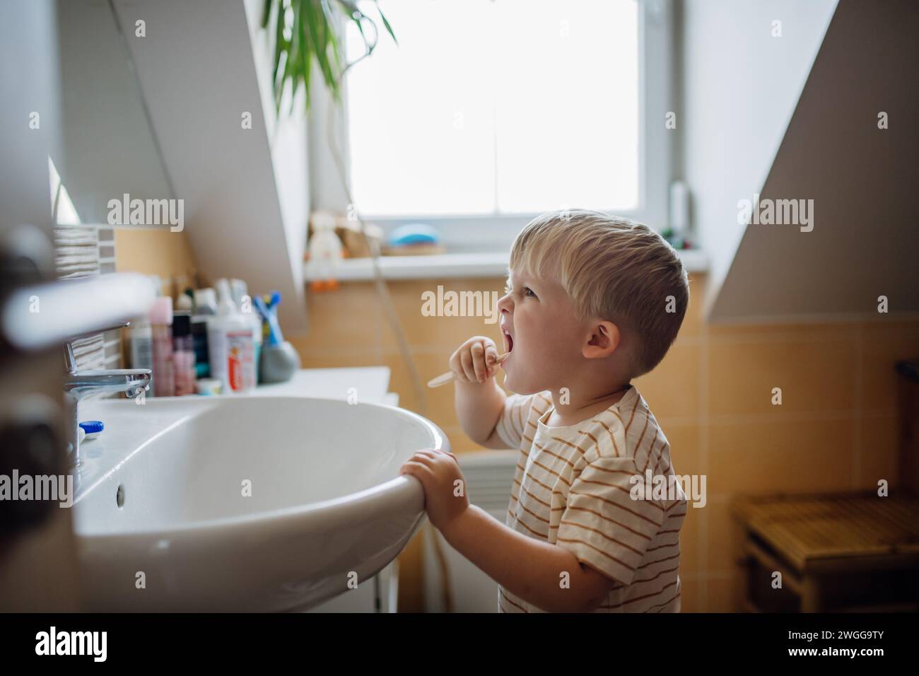 Toddler brushing teeth in the morning, on his own. Morning dental ...
