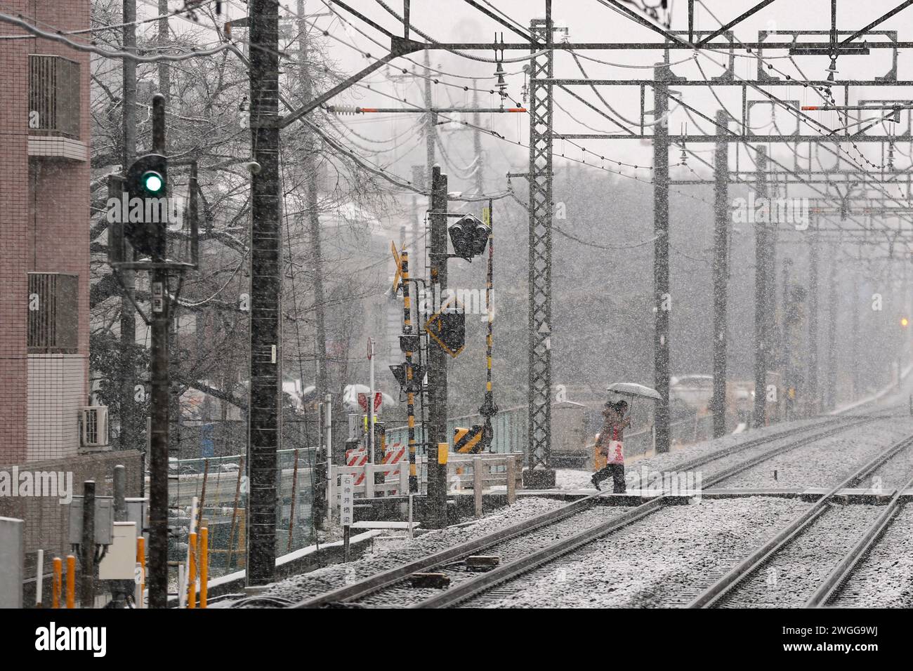 Tokyo, Japan. 05th Feb, 2024. A general view of a falling snow in ...