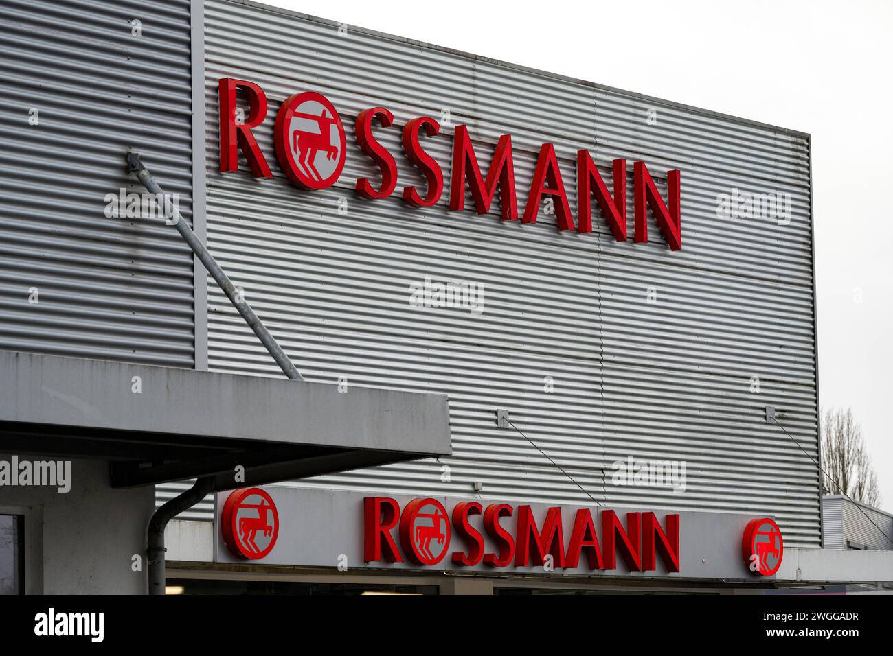 Logo der Drogeriekette Rossmann an einer Geschäftsfassade 04.02.2024 ...