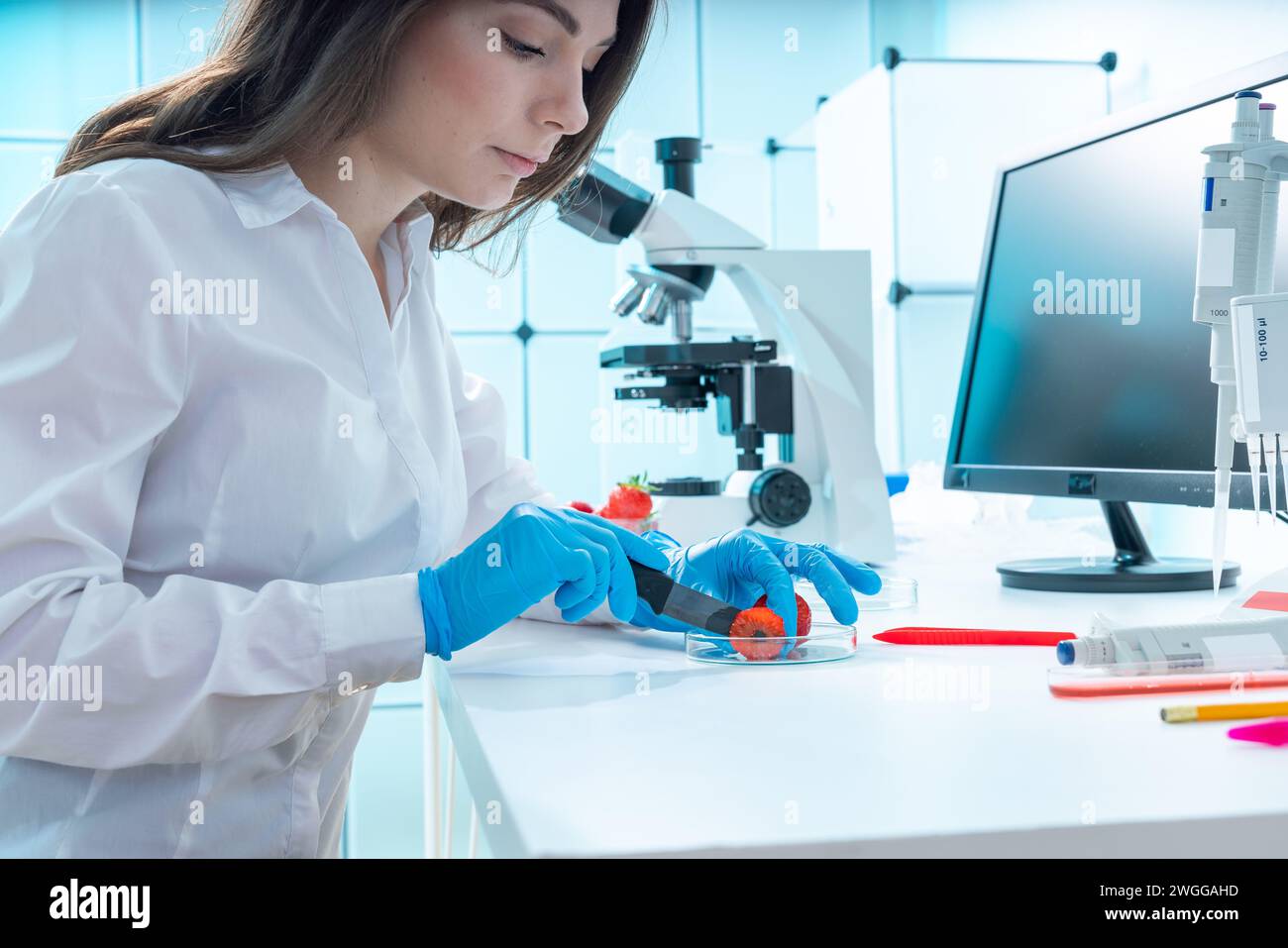 Science Technician Conducting Laboratory Analysis Stock Photo - Alamy
