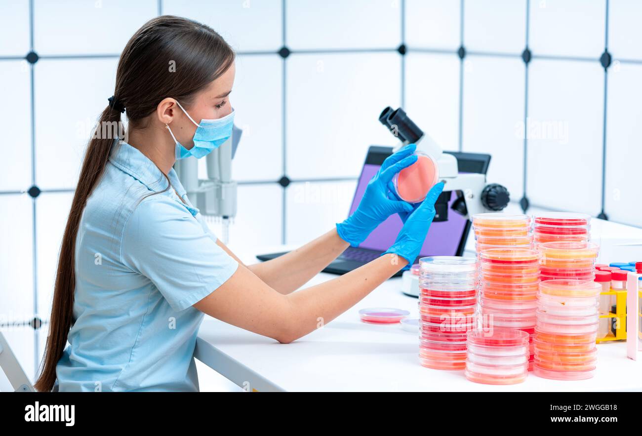 Yeast and fungal culture: Petri dishes are commonly used for the ...