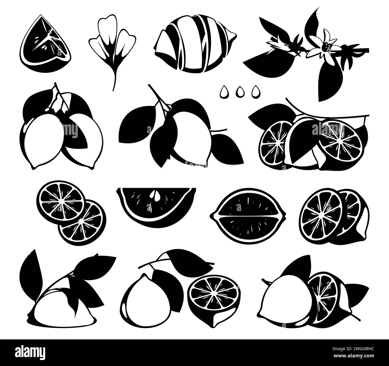 Half tangerine juice Black and White Stock Photos & Images - Alamy