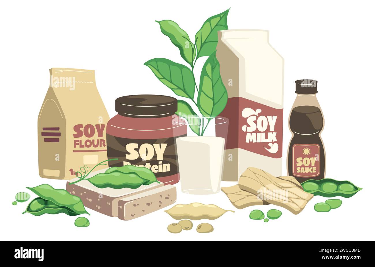 Soy products composition. Cartoon healthy food with tofu tempeh soy ...