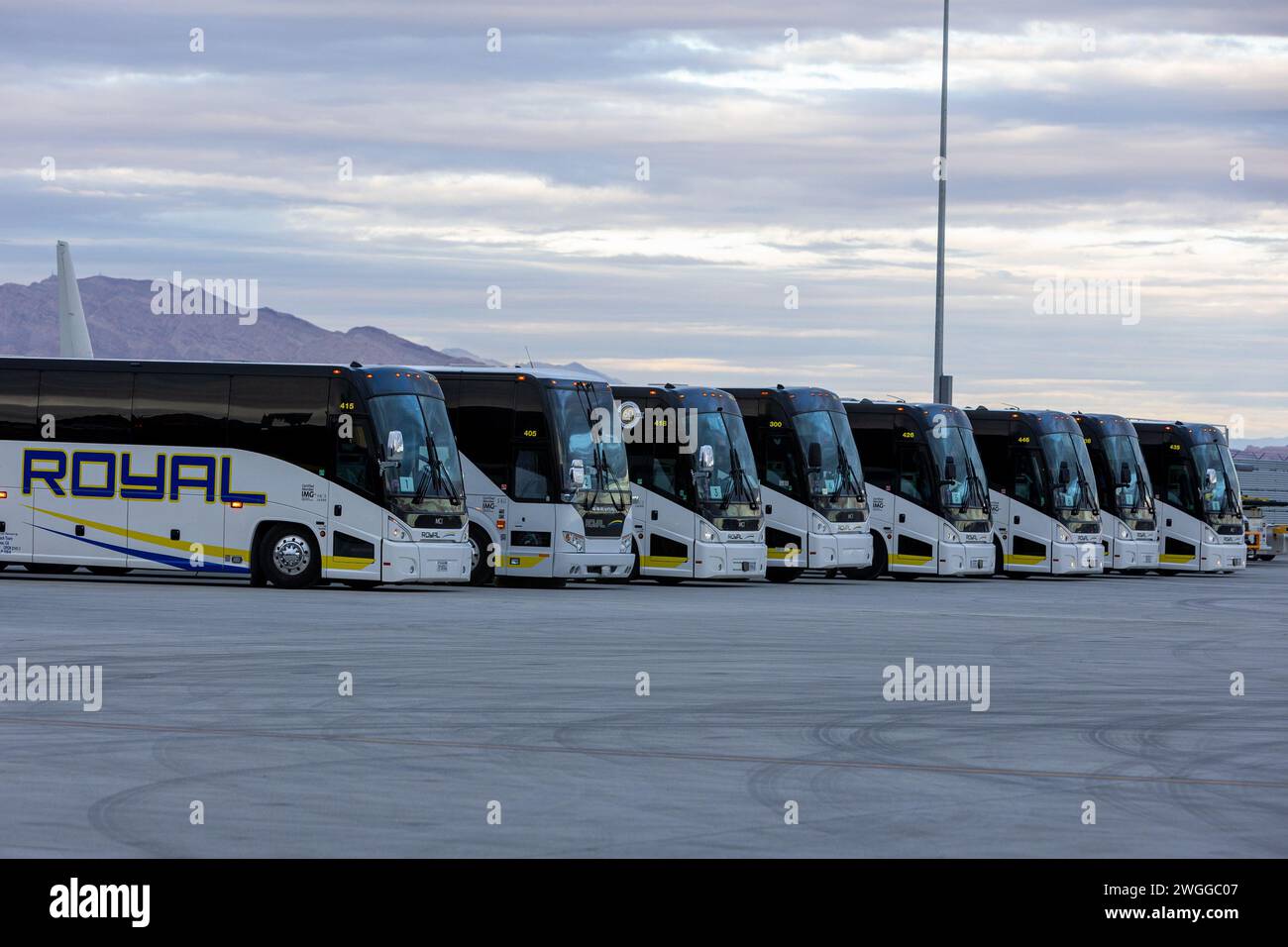 Buses in las vegas hi-res stock photography and images - Alamy