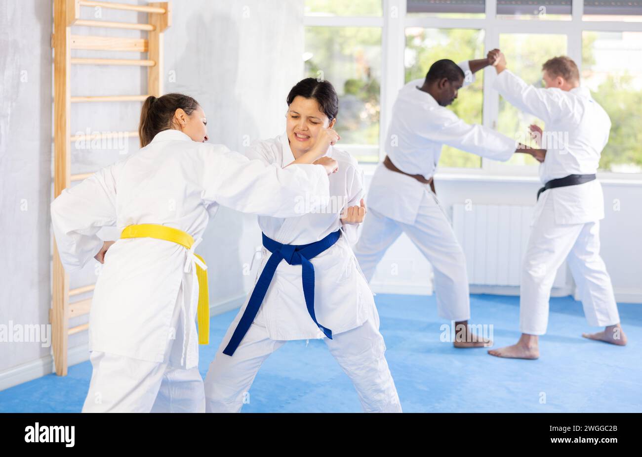 Adult and young women training karate techniques Stock Photo - Alamy