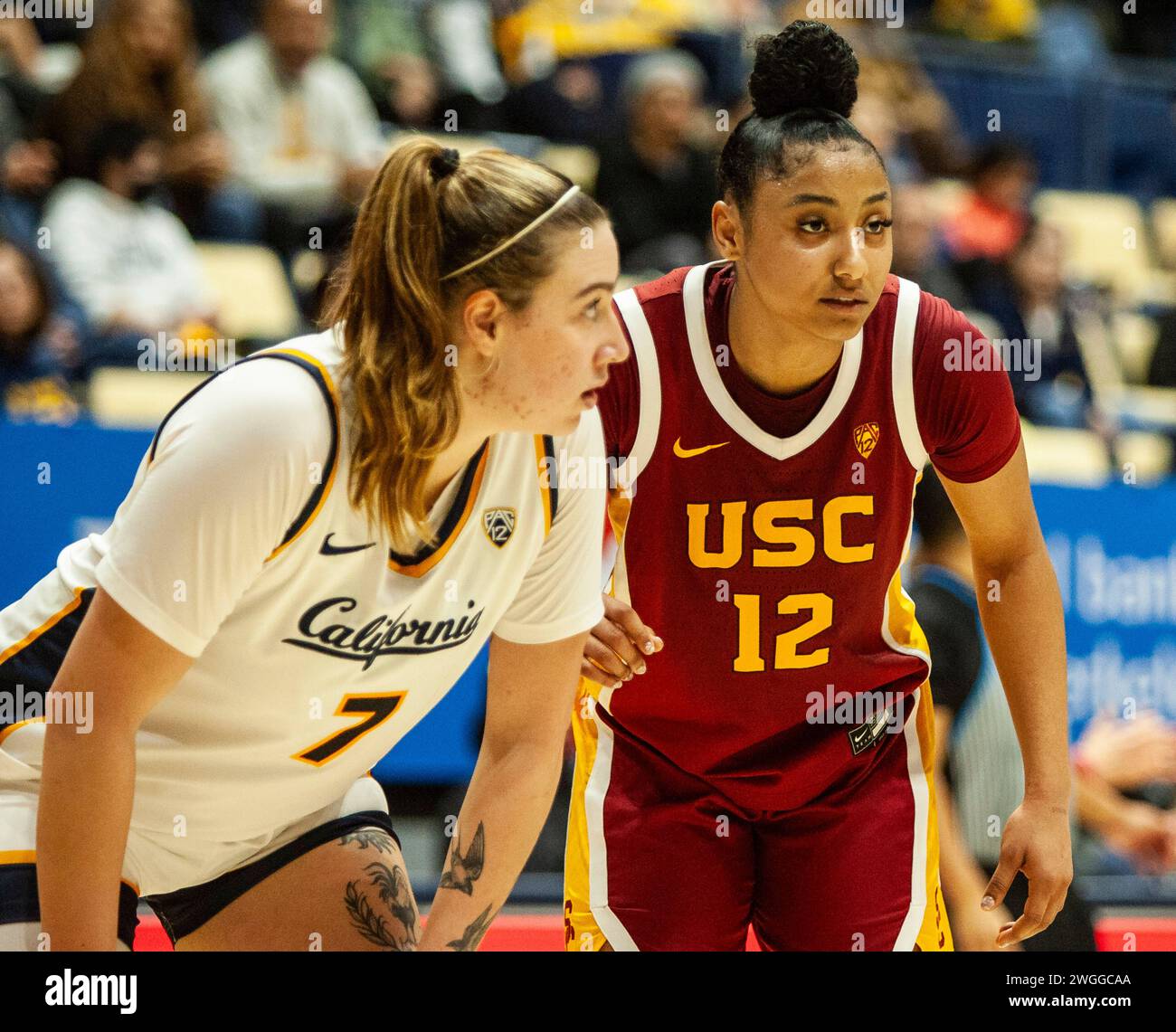 2024 0874 jpg hi-res stock photography and images - Alamy