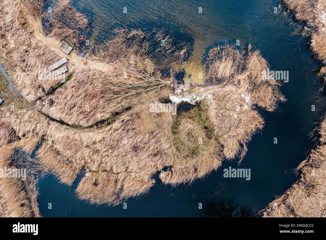 Shot top view bushes hi-res stock photography and images - Alamy