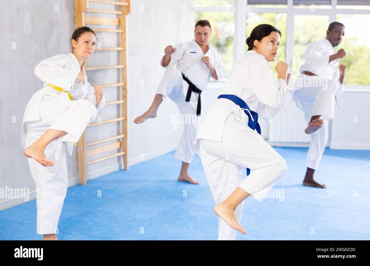 Group lesson in karate hi-res stock photography and images - Alamy