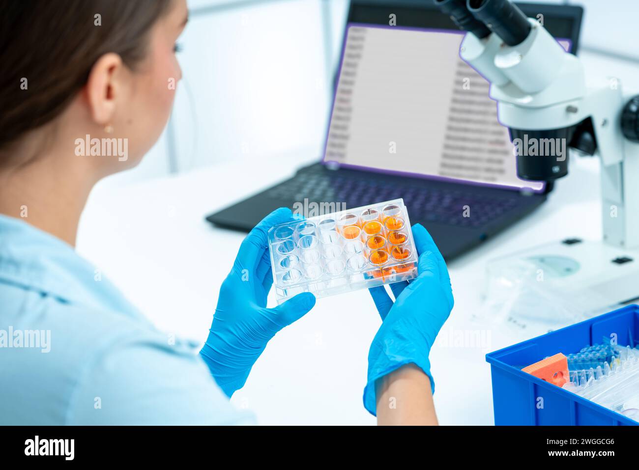Gene Expression Studies: Researchers use 24 well plates to investigate ... Gene Expression Studies: Researchers use 24 well plates to investigate ...