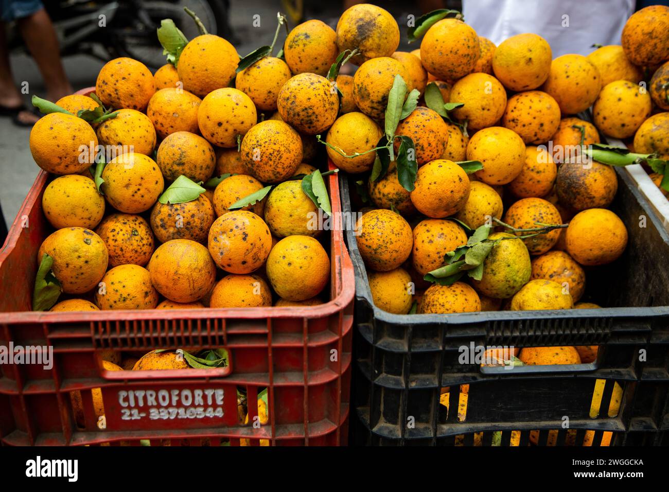 Citrus crates hi-res stock photography and images - Alamy