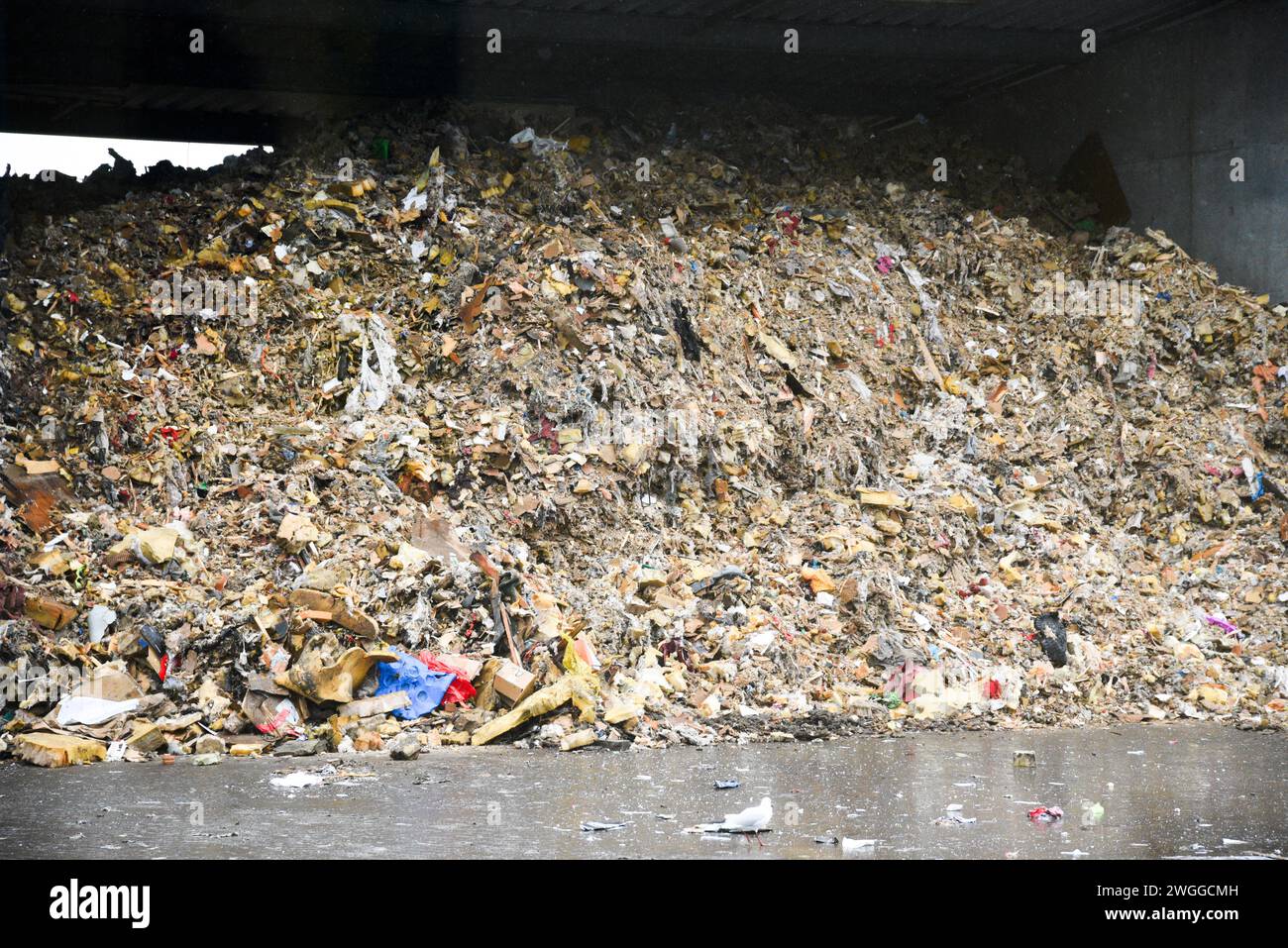 A place where garbage is processed, garbage recycling Stock Photo - Alamy