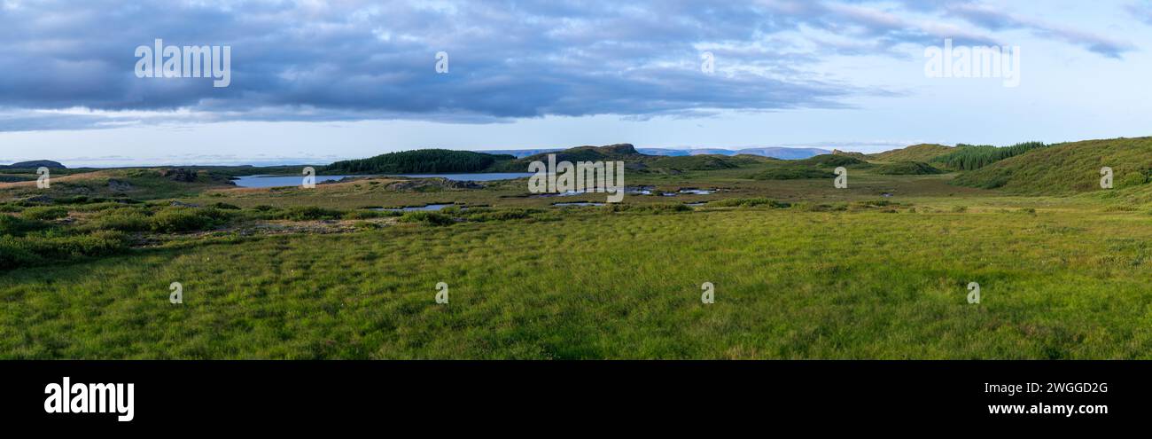 Vast Green Landscape with Wildlife Amidst Natural Beauty Stock Photo ...