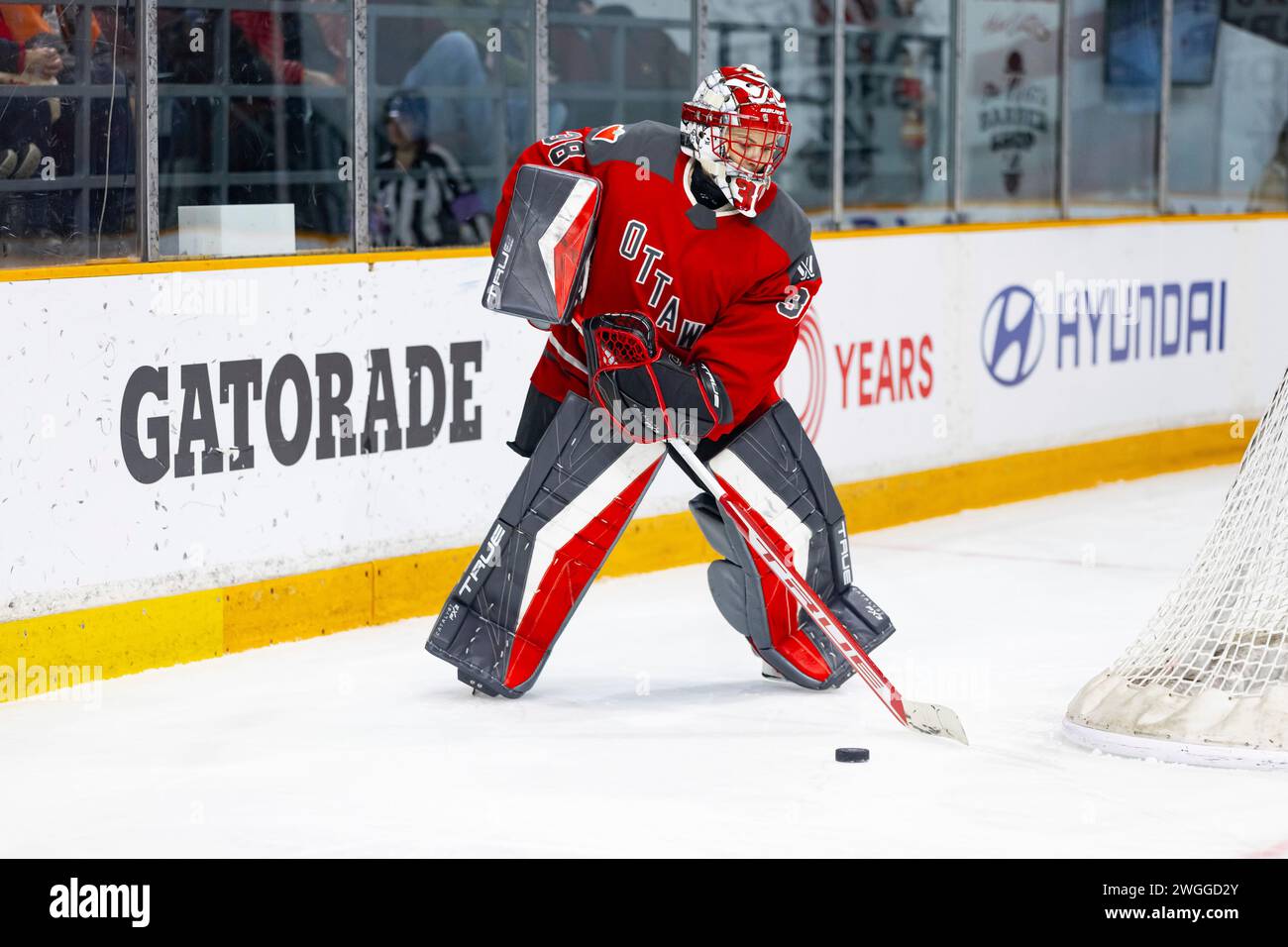 OTTAWA, ON - FEBRUARY 04: Ottawa Goalie Emerance Maschmeyer (38) plays ...