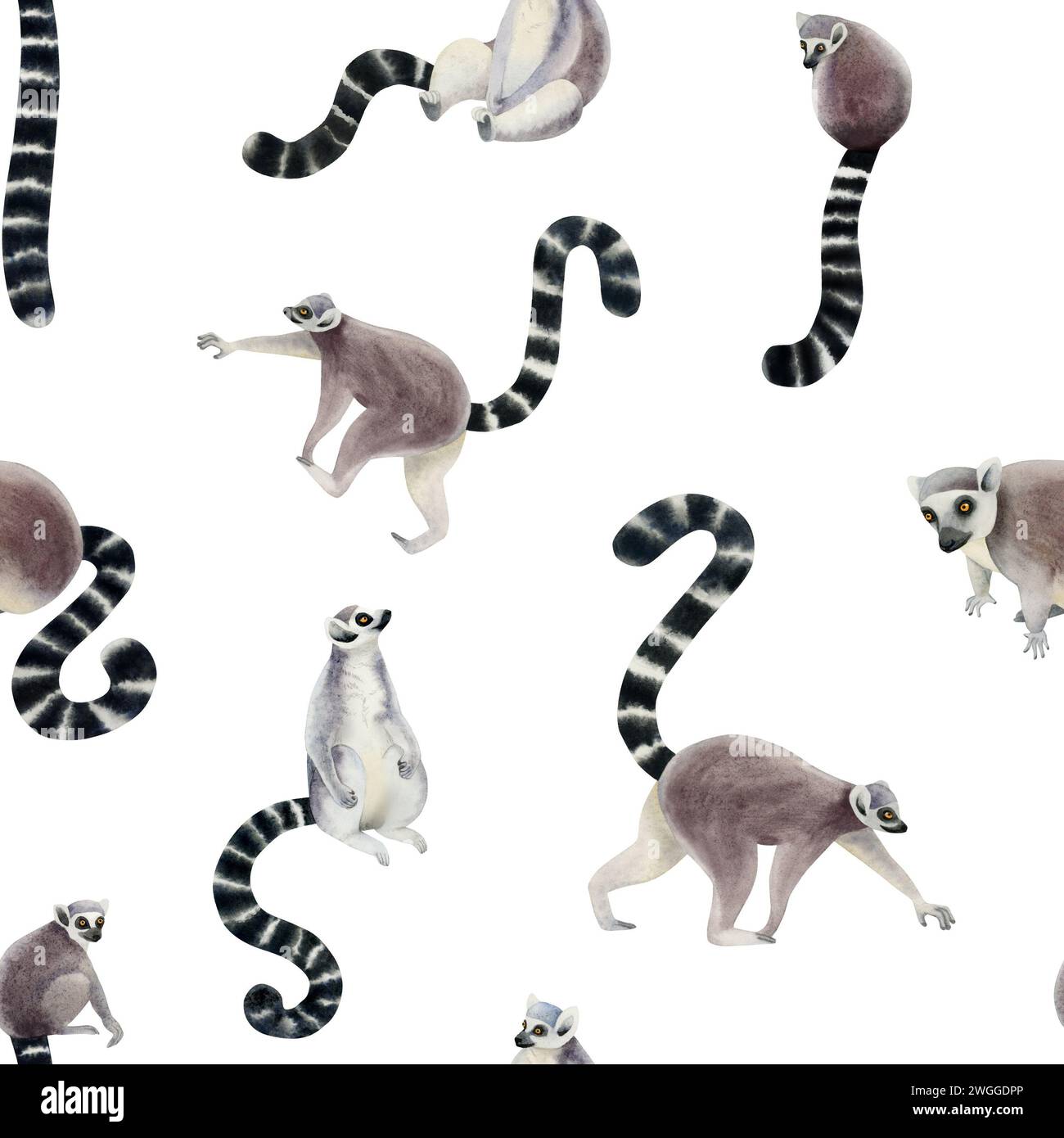 Funny ring-tailed lemurs watercolor seamless pattern on white ...