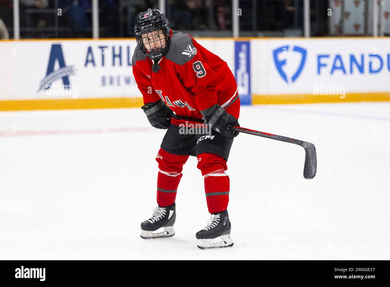 OTTAWA, ON - FEBRUARY 04: Ottawa Forward Daryl Watts (9) before a face ...
