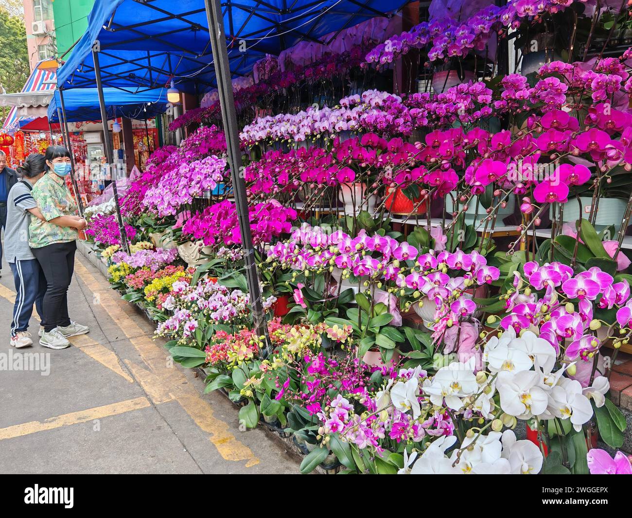 People shop flowers at a flower market in Guangzhou City, south China's ...