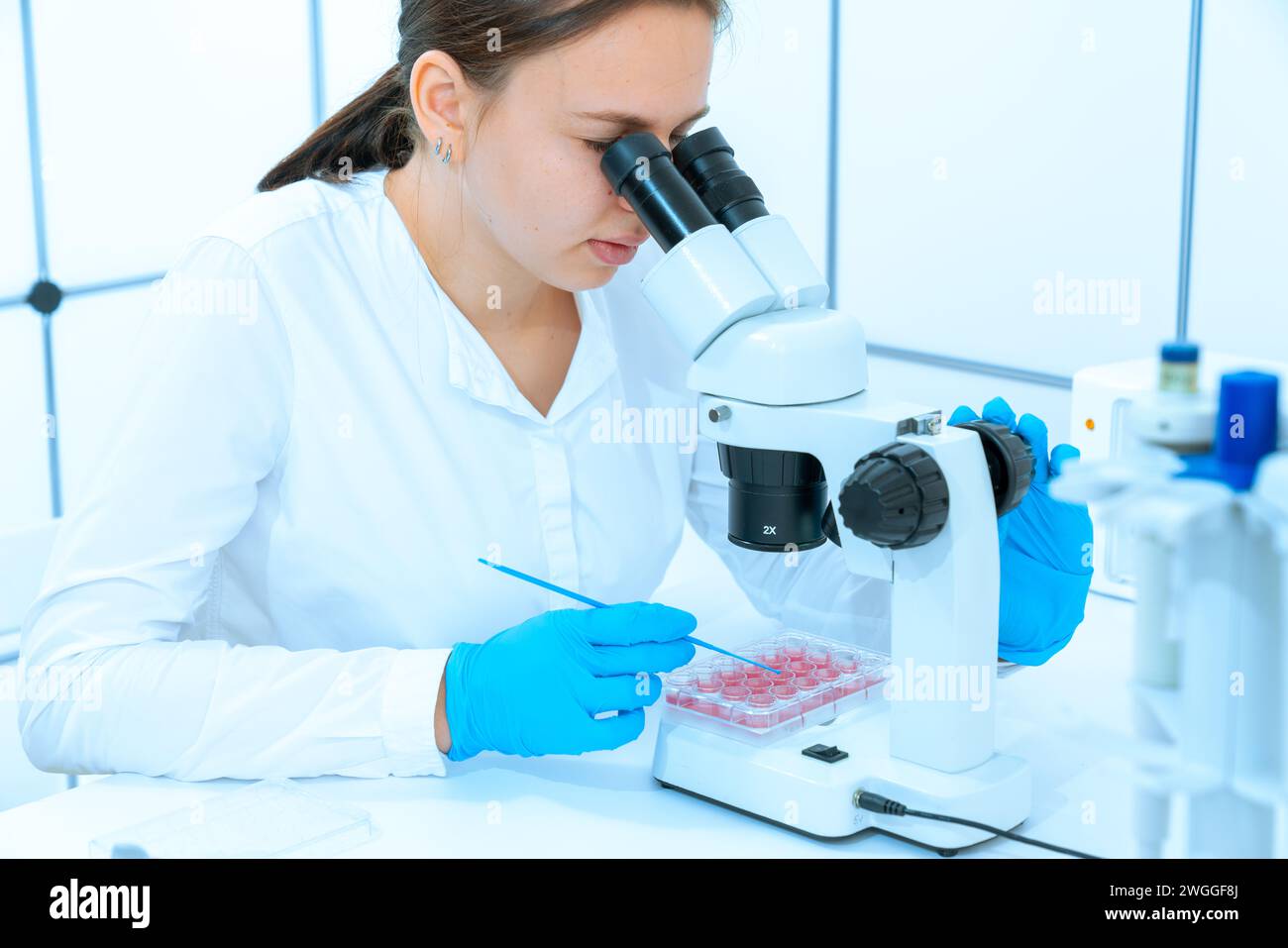 Neural activity investigation: Microscopes are used to study neurons ...