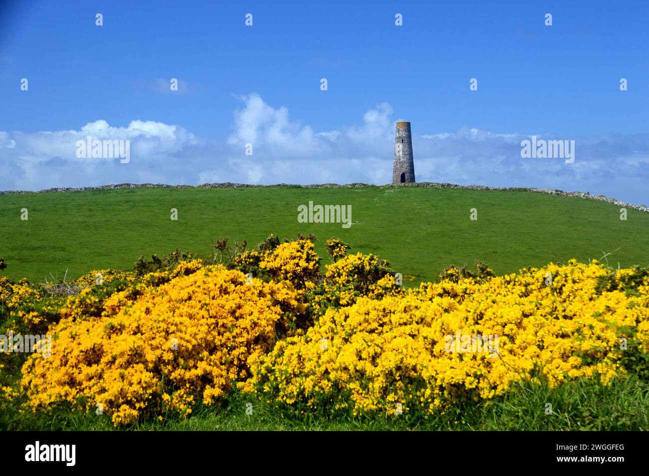 Gorse Bushes & the Old Stone 19th Century Stepper Point Daymark ...