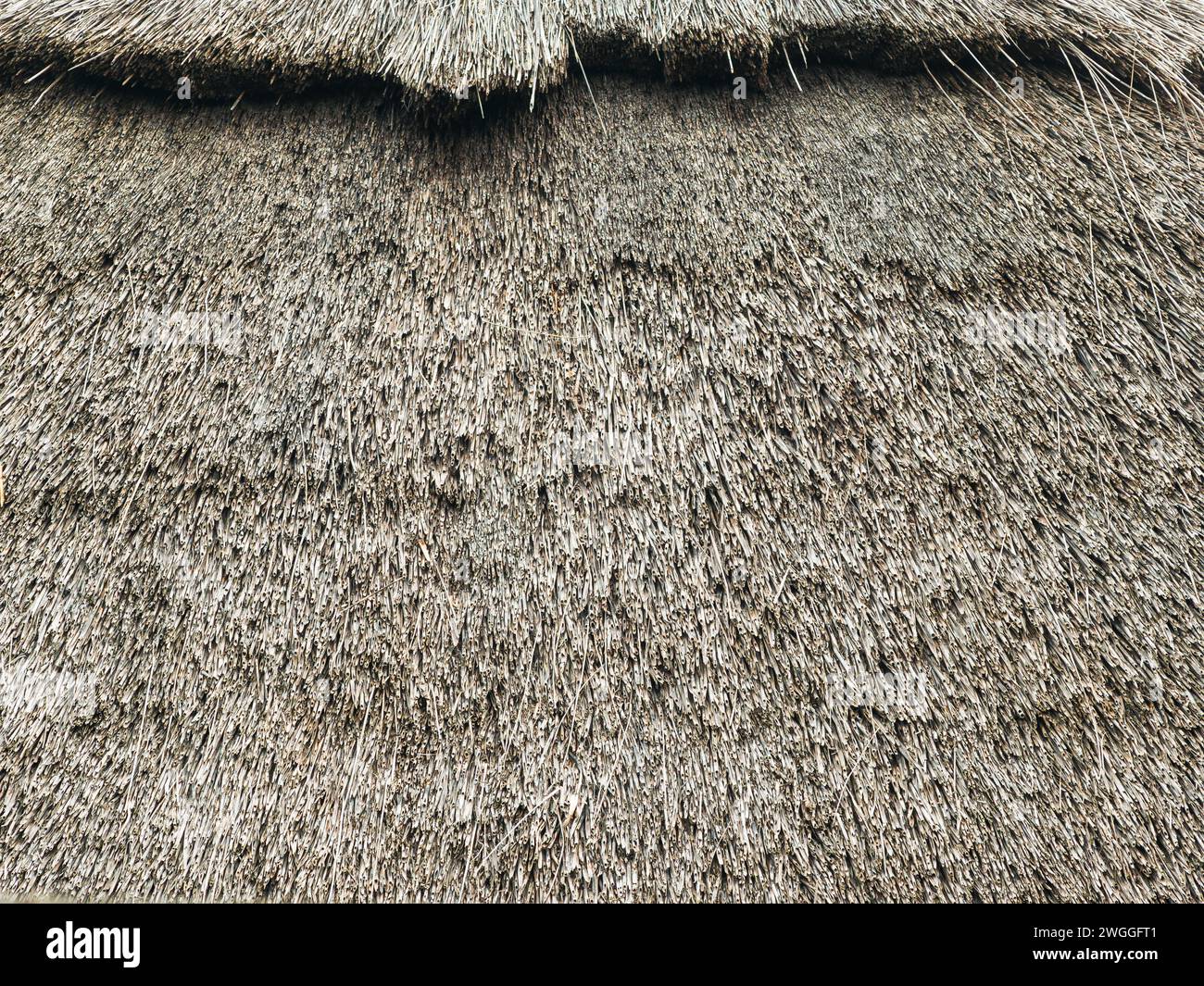 Antique thatched roof of a country house. Background Stock Photo - Alamy